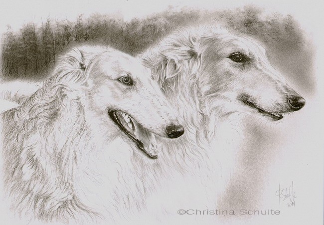 Artworks by pet and wildlife artist Christina Schulte