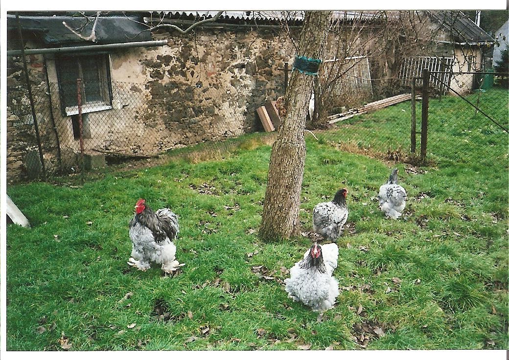 Bilder von Dirk Hennig