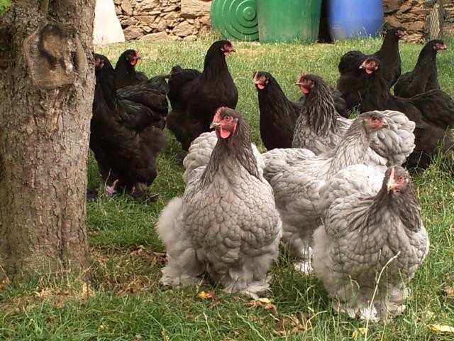 Bilder von Dirk Hennig