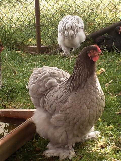 Bilder von Dirk Hennig