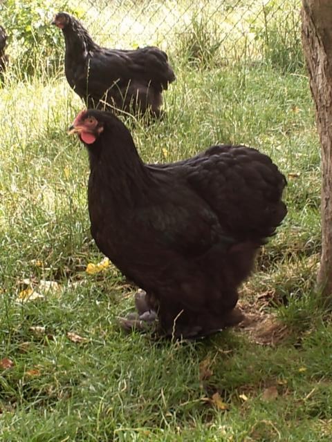 Bilder von Dirk Hennig