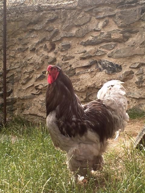 Bilder von Dirk Hennig